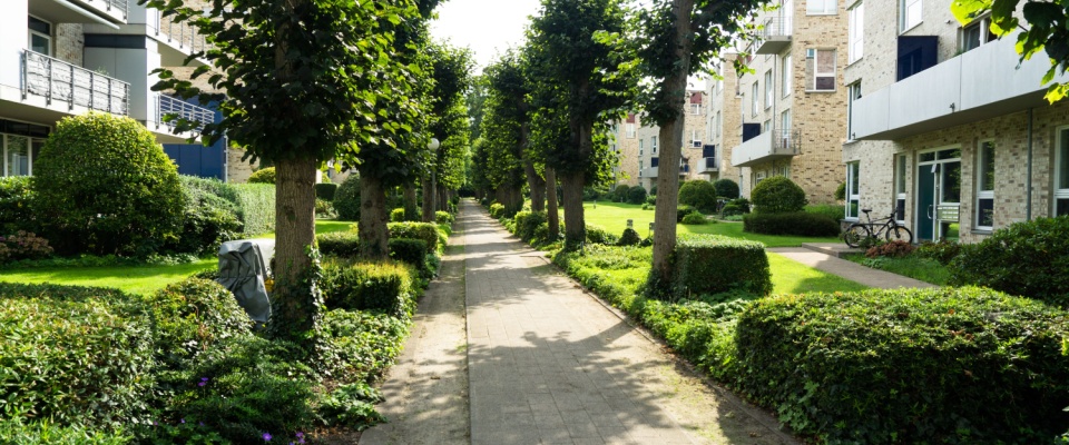 What Is a Garden-Style Apartment? All You Need to Know